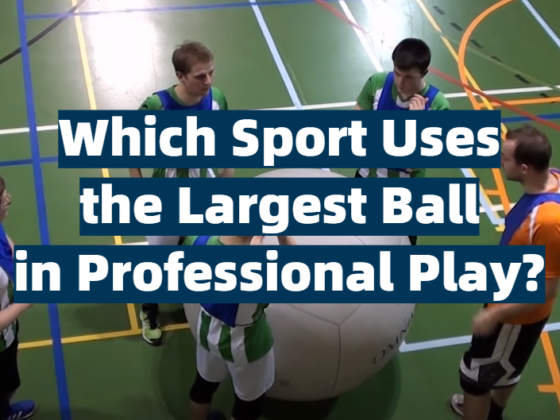 What Are Spring Sports? - SportProfy