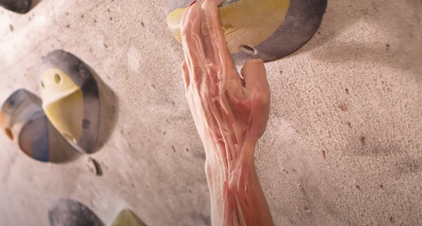 What is Sports Conditioning? - SportProfy